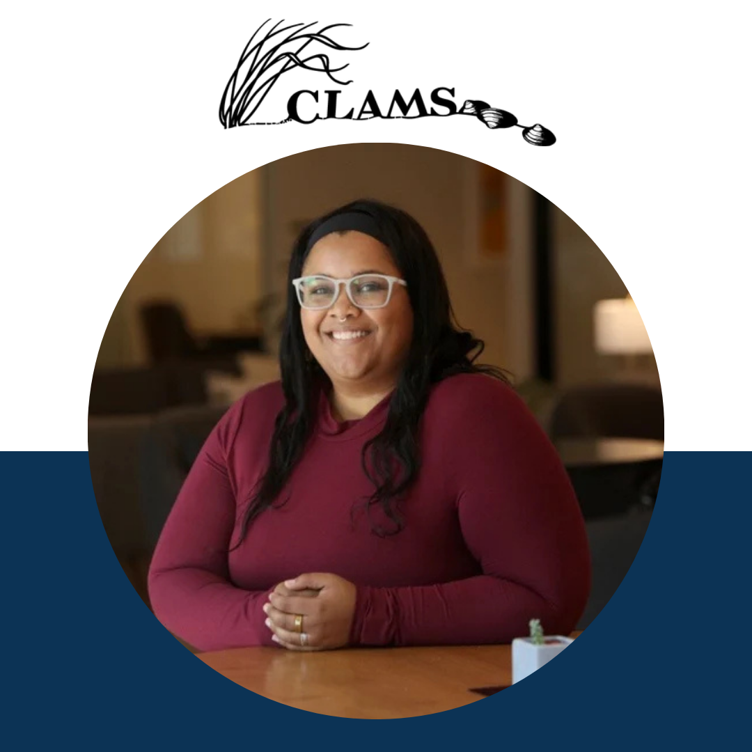 Shape the Cape Summit